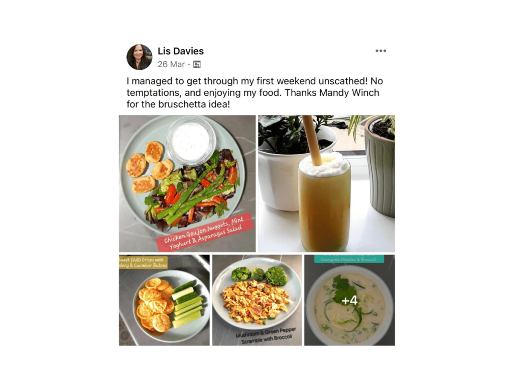 Patient's Recipe Collection - Alevere